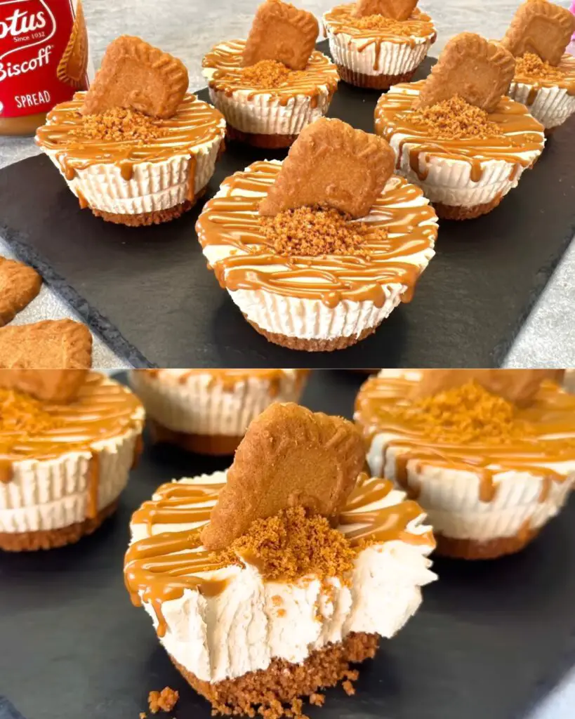 Lotus Biscoff Mini Cheesecakes: An Easy and Irresistibly Yummy No-Bake ...
