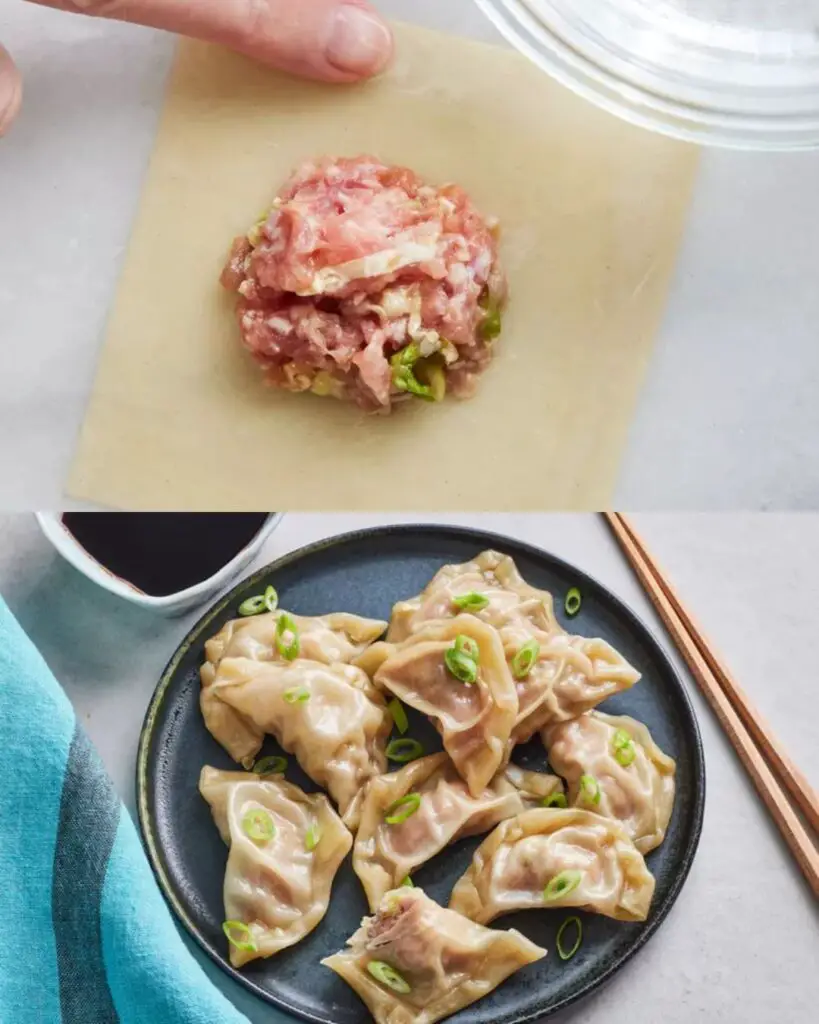 Classic Pork Dumplings Recipe